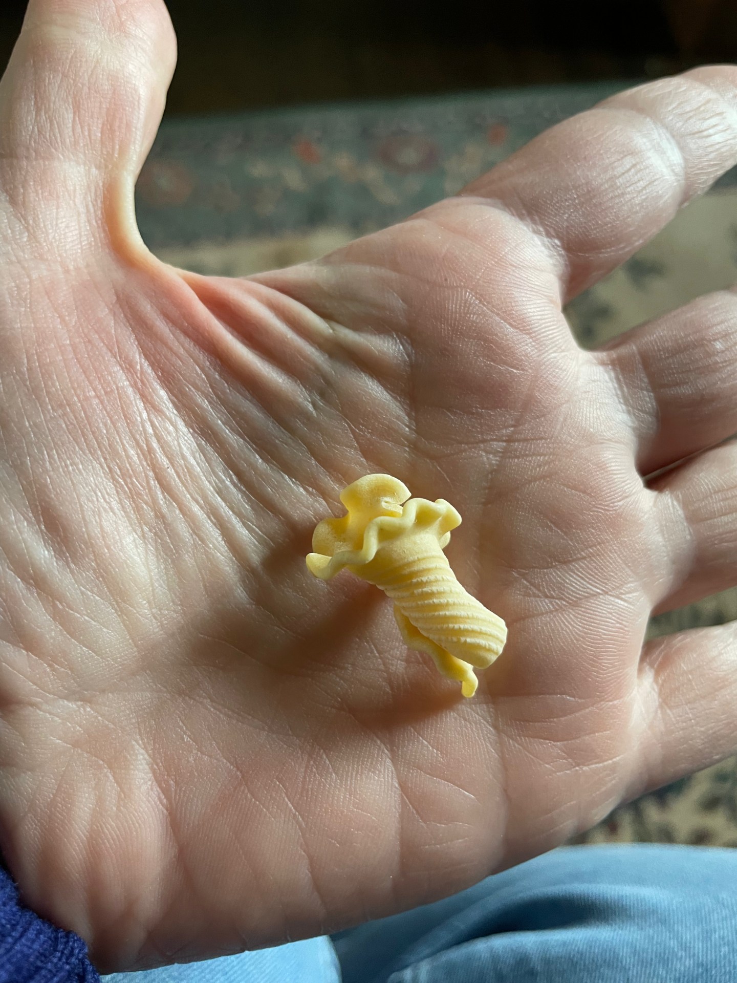 Cooking Comfort: My Favorite Bolognese and Pasta Shapes – Rosbif
